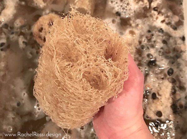 How to Grow Luffa and How to Make a Luffa Sponge: A Tutorial