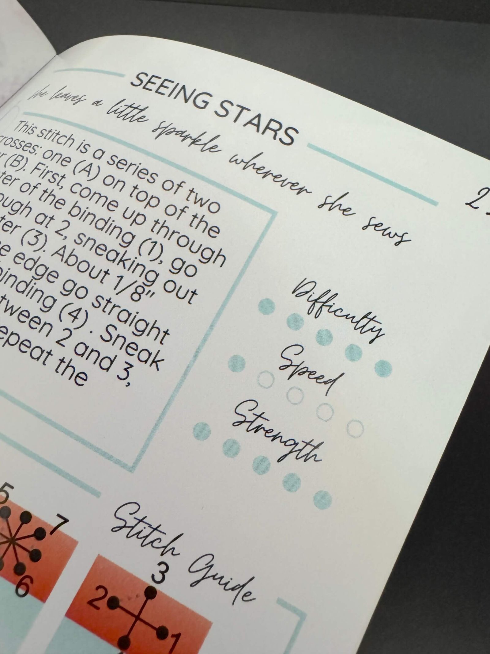 The Little Book of Big Stitch Binding | Rachel Rossi